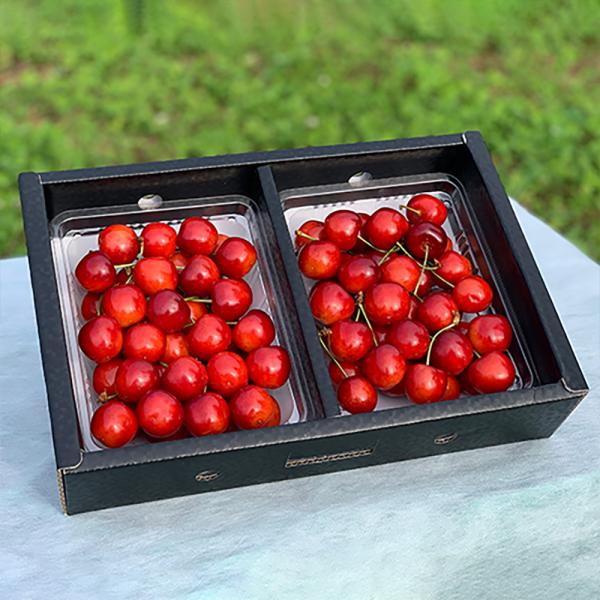 【発売日：2026年06月07日】「農林水産大臣賞」をはじめ、さまざまな品評会での受賞歴を持つアンスリーファームのさくらんぼ。甘みと酸味のバランスが取れた「佐藤錦」と、しっかりとした果肉感の「紅秀峰」の2種類をご用意。山形県内でも特に生産が...