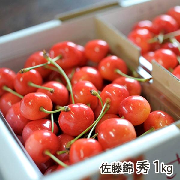 【発売日：2026年05月28日】果樹王国・東根市で生産された、大粒でツヤツヤのさくらんぼ。今回は、さわやかな酸味が特徴の品種「佐藤錦」をご紹介します。たっぷりと光合成をして育った実は、甘みが凝縮されてとってもジューシー！山形県の中心部・村...