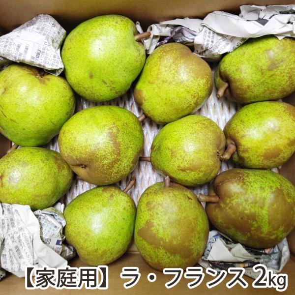 【発売日：2026年11月17日】葉を多く残すことで、たっぷりと光合成させた松栗のラ・フランス。とっても甘くてほのかな酸味が後を引く、濃厚な味わいです。すぐに食べごろを迎えるよう、追熟期間を調整してお届けします！果樹王国として知られている東...