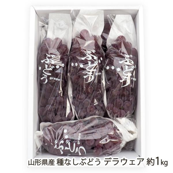 【発売日：2026年07月07日】南陽市で30種類以上のぶどうを手掛ける漆山果樹園。今回は数あるぶどうの中でも特に人気の「デラウェア」をご紹介します。一粒一粒が大きくて濃厚！一度食べたら忘れられないおいしさですよ。自然豊かな南陽市で、30種...