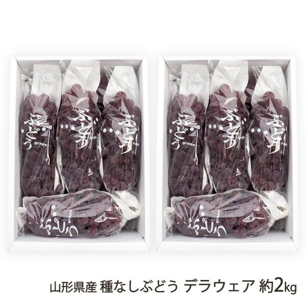 【発売日：2026年07月07日】南陽市で30種類以上のぶどうを手掛ける漆山果樹園。今回は数あるぶどうの中でも特に人気の「デラウェア」をご紹介します。一粒一粒が大きくて濃厚！一度食べたら忘れられないおいしさですよ。自然豊かな南陽市で、30種...