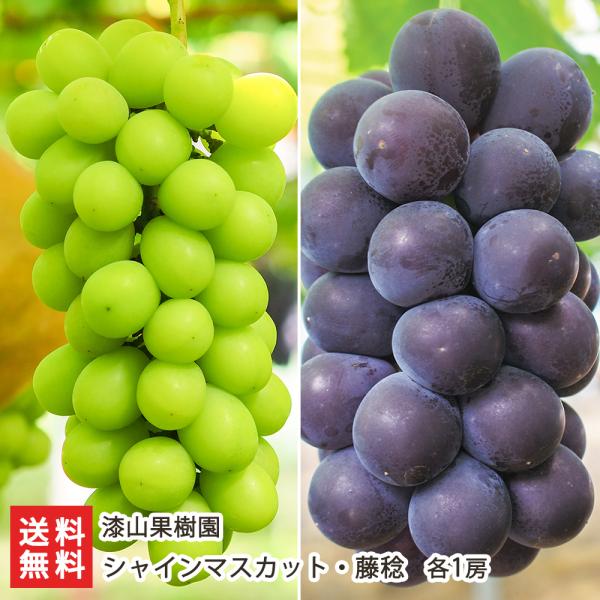 【発売日：2026年08月07日】南陽市の漆山果樹園から、大粒ぶどうを堪能できるセットをお届け！爽やかな甘みが人気のシャインマスカットと、豊富な果汁がたまらない藤稔を食べ比べてみてください。おいしさの個性が光る2品種です！自然豊かな南陽市で...