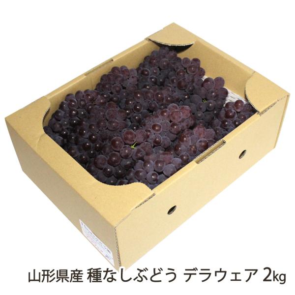 【発売日：2026年07月17日】1950年からぶどう栽培を行っている果樹農家が、愛情込めて育てたデラウェア。「種なしぶどう」の愛称でお馴染みの小粒品種です。手を汚さず気軽に食べられて、お子様のおやつにぴったり！山形県南部に位置する置賜地方...