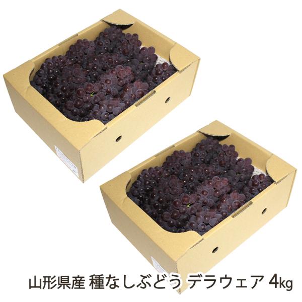 【発売日：2026年07月17日】1950年からぶどう栽培を行っている果樹農家が、愛情込めて育てたデラウェア。「種なしぶどう」の愛称でお馴染みの小粒品種です。手を汚さず気軽に食べられて、お子様のおやつにぴったり！山形県南部に位置する置賜地方...