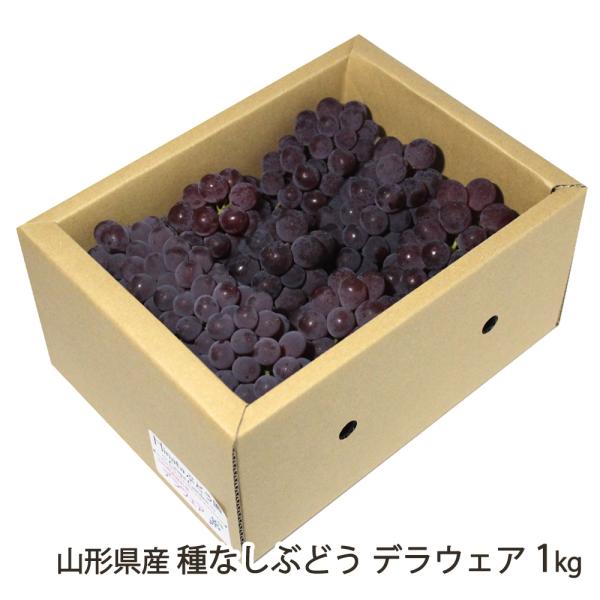 【発売日：2026年07月17日】1950年からぶどう栽培を行っている果樹農家が、愛情込めて育てたデラウェア。「種なしぶどう」の愛称でお馴染みの小粒品種です。手を汚さず気軽に食べられて、お子様のおやつにぴったり！山形県南部に位置する置賜地方...