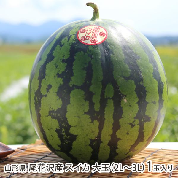 【発売日：2026年07月17日】シャリシャリの食感と、ジューシーな果汁がたまらない尾花沢スイカ。寒暖差の激しい気候に育まれ、果実に濃厚な甘みをギュッと蓄えています。山形の夏を彩る、みずみずしい美味しさを、ぜひご賞味ください。山形県が誇るス...