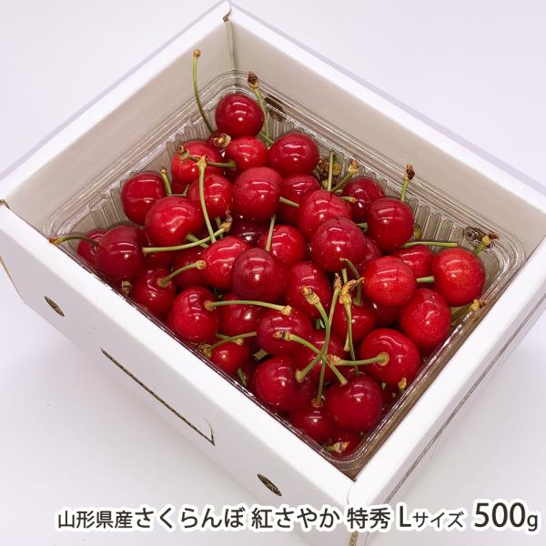 【発売日：2026年05月17日】寒河江市の果樹農家が作るさくらんぼです。一粒一粒が輝いていて、なんとも愛らしい！一口かじると、皮がプチッと弾けて、果汁がジュワッとあふれます。濃厚な甘みとほど良い酸味をご堪能ください。HAGAフルーツは、自...