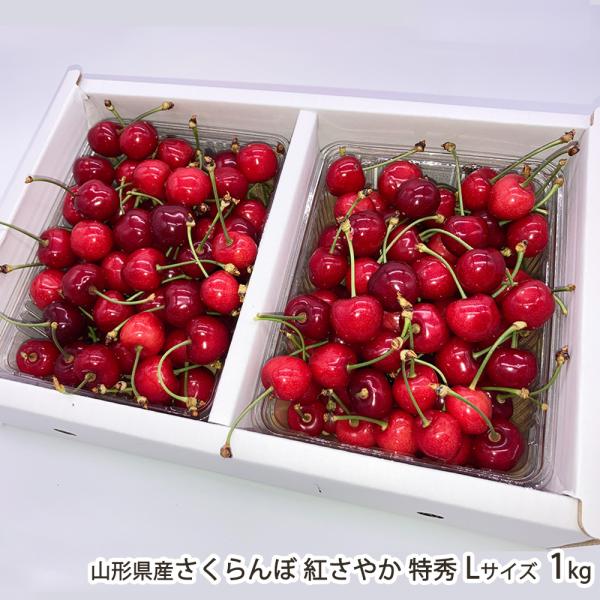 【発売日：2026年05月17日】寒河江市の果樹農家が作るさくらんぼです。一粒一粒が輝いていて、なんとも愛らしい！一口かじると、皮がプチッと弾けて、果汁がジュワッとあふれます。濃厚な甘みとほど良い酸味をご堪能ください。HAGAフルーツは、自...