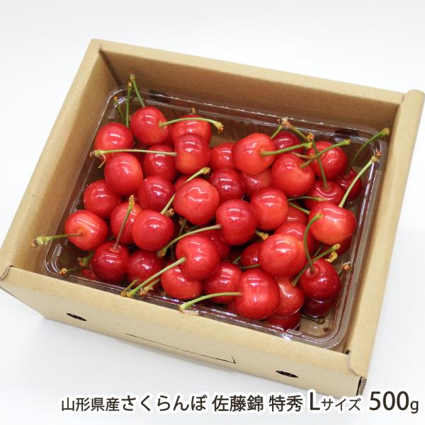 【発売日：2026年05月28日】寒河江市の果樹農家が作るさくらんぼです。一粒一粒が輝いていて、なんとも愛らしい！一口かじると、皮がプチッと弾けて、果汁がジュワッとあふれます。濃厚な甘みとほど良い酸味をご堪能ください。HAGAフルーツは、自...