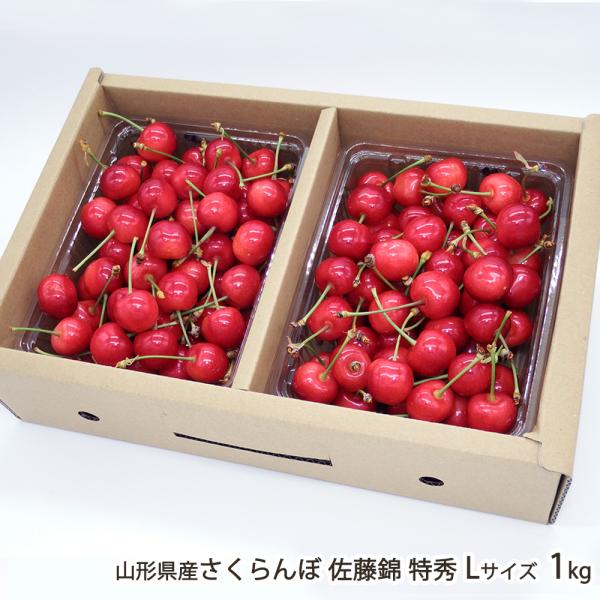 【発売日：2026年05月28日】寒河江市の果樹農家が作るさくらんぼです。一粒一粒が輝いていて、なんとも愛らしい！一口かじると、皮がプチッと弾けて、果汁がジュワッとあふれます。濃厚な甘みとほど良い酸味をご堪能ください。HAGAフルーツは、自...