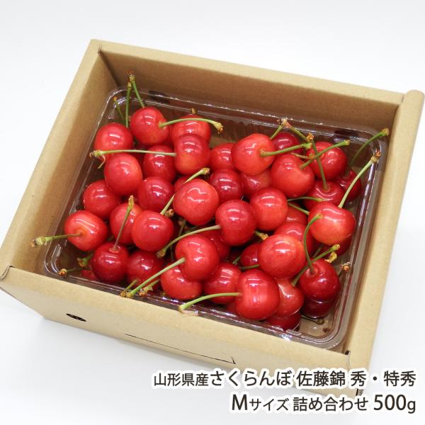 【発売日：2026年05月28日】寒河江市の果樹農家が作るさくらんぼです。一粒一粒が輝いていて、なんとも愛らしい！一口かじると、皮がプチッと弾けて、果汁がジュワッとあふれます。濃厚な甘みとほど良い酸味をご堪能ください。HAGAフルーツは、自...