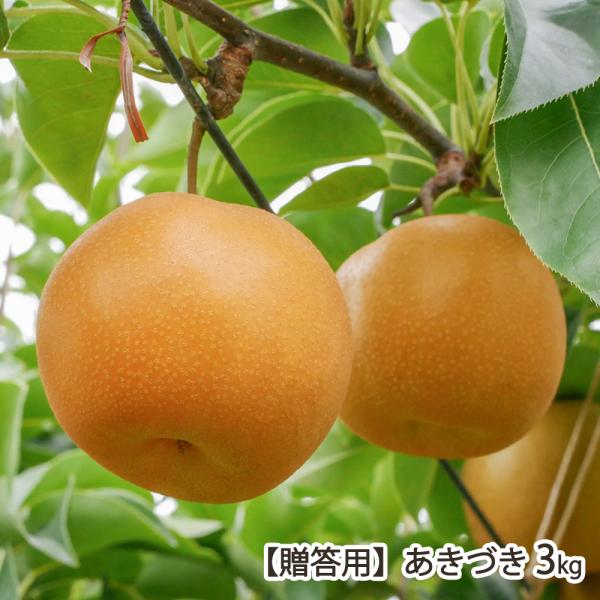 【発売日：2026年09月17日】寒河江市の果樹農家から、和梨をお届け。みずみずしくてジューシーな食感！そして甘酸っぱ〜いおいしさが自慢です。豊水やあきづきのほか、大天梨・甘太など豊富な品種をご用意しました。寒河江市は、月山や朝日連峰、奥羽...