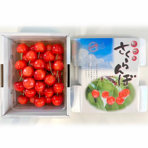 【発売日：2026年06月07日】南陽市のKappy Farmが育てる、甘みと酸味のバランスが取れたさくらんぼ。一口ほおばると、甘くてジューシーな果汁が溢れて、幸福感を味わえます！初夏の訪れを告げる贈り物としても最適ですよ。山形県南陽市で、...