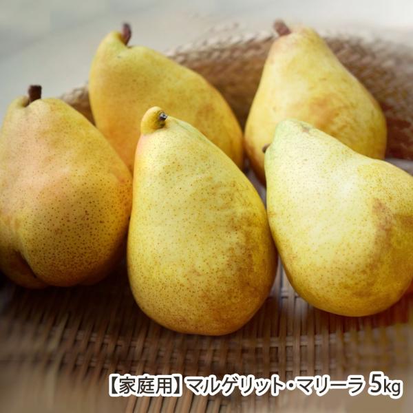 【発売日：2026年08月28日】果樹栽培が盛んな東根市で育った「マルゲリット・マリーラ」。大玉で食べごたえのある品種です。うっとりするような芳醇な香り、たっぷりの果汁が魅力。洋梨特有の上品な甘みと酸味が口の中に広がります。フルーツ王国・山...