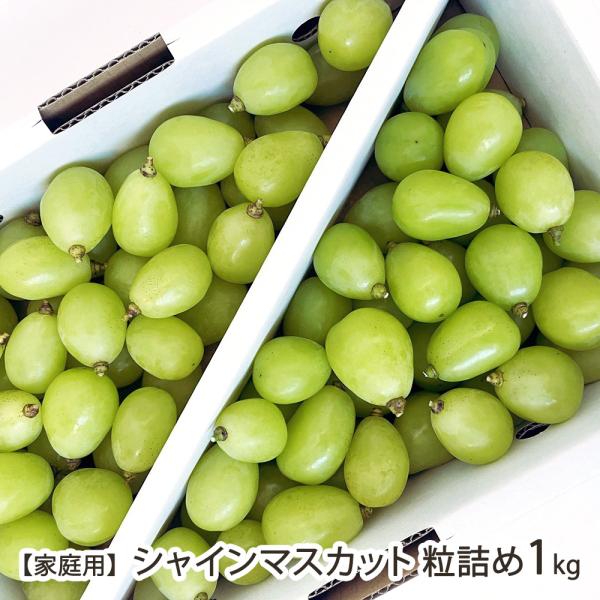【発売日：2026年08月28日】月山を源流とする寒河江川が流れる、自然豊かな寒河江市谷沢地区で育ったシャインマスカット。昼夜の寒暖差によって、一粒一粒に甘みをギュッと蓄えました。芳醇な味わいをお楽しみください。寒河江市谷沢地区で果樹園を営...