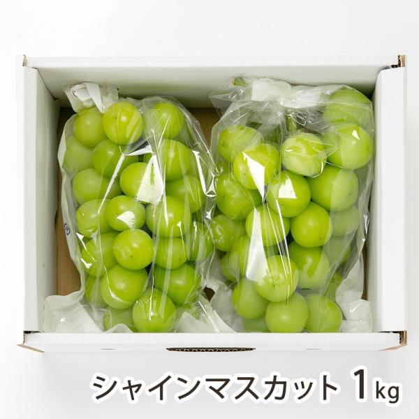 【発売日：2026年09月07日】みずみずしくて、とってもさわやか！盆地ゆえの寒暖差でたっぷりと甘みを蓄えました。噛んだ瞬間、口の中にジューシーな果汁が広がります！種がないため、パリッと皮ごとお召し上がりください。山形は全国でも有名なフルー...