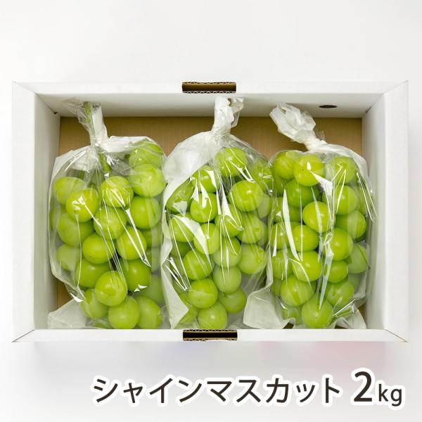 【発売日：2026年09月07日】みずみずしくて、とってもさわやか！盆地ゆえの寒暖差でたっぷりと甘みを蓄えました。噛んだ瞬間、口の中にジューシーな果汁が広がります！種がないため、パリッと皮ごとお召し上がりください。山形は全国でも有名なフルー...
