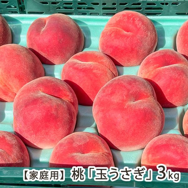 【発売日：2026年08月17日】果樹栽培が盛んな高畠町の東城農園から、夏の味覚「白桃」をお届け！芳醇な香りと甘みが自慢の桃です。「まどか」「玉うさぎ」「さくら白桃」の3品種をご用意。個性豊かな味わいをお楽しみください。山形県高畠町は、昼夜...
