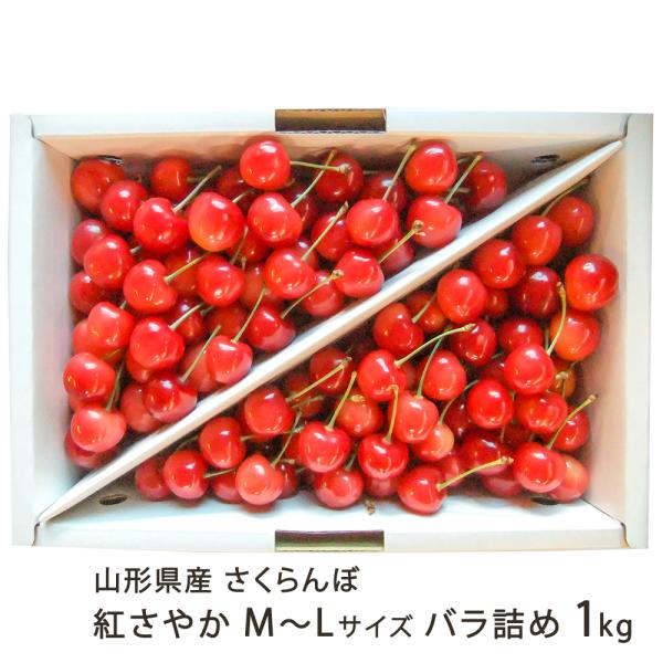 【発売日：2026年05月28日】蔵王連峰を望む果樹園で育ったさくらんぼです。上山盆地の昼夜の寒暖差で、甘みをたっぷり蓄えました。まるで宝石のようにキラキラと輝く、真っ赤に染まった実をかじれば、甘い果汁が弾けますよ。上山市の果樹園・木村フル...