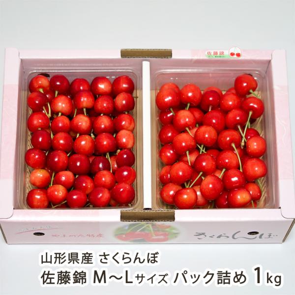 【発売日：2026年06月07日】蔵王連峰を望む果樹園で育ったさくらんぼです。上山盆地の昼夜の寒暖差で、甘みをたっぷり蓄えました。まるで宝石のようにキラキラと輝く、真っ赤に染まった実をかじれば、甘い果汁が弾けますよ。上山市の果樹園・木村フル...