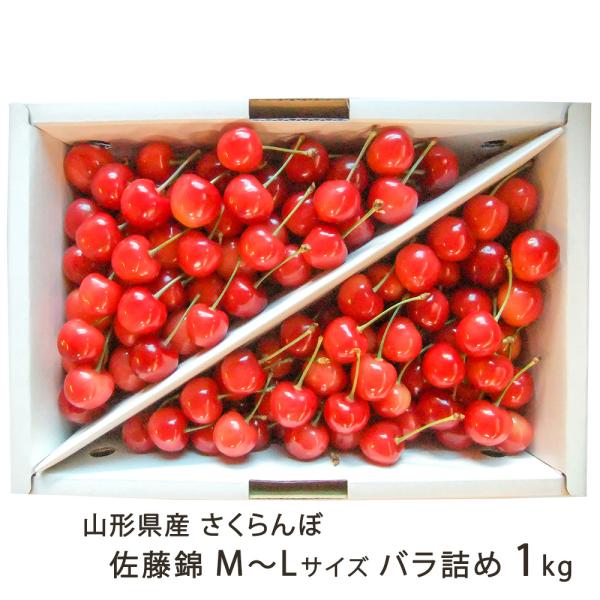 【発売日：2026年06月07日】蔵王連峰を望む果樹園で育ったさくらんぼです。上山盆地の昼夜の寒暖差で、甘みをたっぷり蓄えました。まるで宝石のようにキラキラと輝く、真っ赤に染まった実をかじれば、甘い果汁が弾けますよ。上山市の果樹園・木村フル...