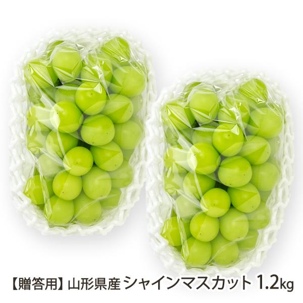 【発売日：2026年09月17日】皮ごと食べられる手軽さと、凝縮された濃厚な甘みが魅力の「シャインマスカット」。パリッと皮が弾けて、ジューシーな果汁が口いっぱいに広がります。翡翠色に輝く美しい外観は、贈り物にも喜ばれますよ。蔵王連峰の麓に位...