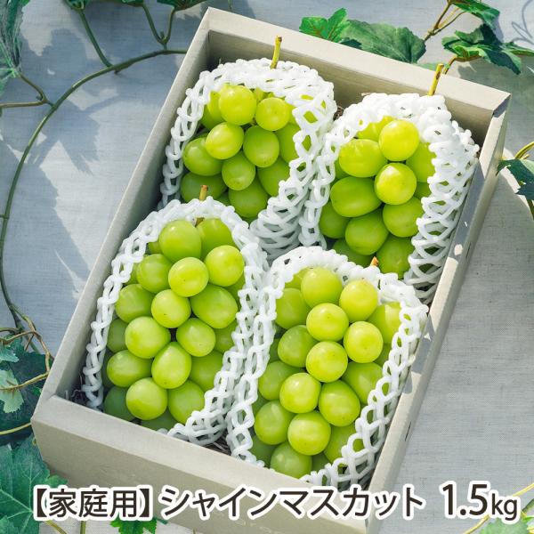 【発売日：2026年09月07日】ぶどうの栽培が盛んな高畠町で、愛情をたっぷりと注いで育てたシャインマスカット。ハリのある大粒の実には、甘くて濃厚な果汁がギュッと詰まっています。秋らしい旬の果物は、ギフトにもおすすめです。ぶどうの栽培が盛ん...