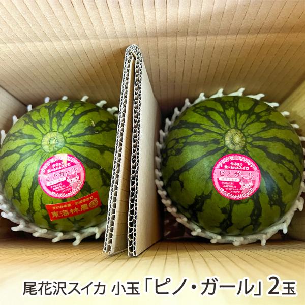 【発売日：2026年07月17日】山形が全国に誇るブランドスイカ「尾花沢スイカ」。今回は、小さい種が特徴の小玉品種「ピノ・ガール」をご紹介します。シャリ感のあるさわやかな味わいが自慢！お盆の手土産にもおすすめですよ。東海林農園は、スイカの名...