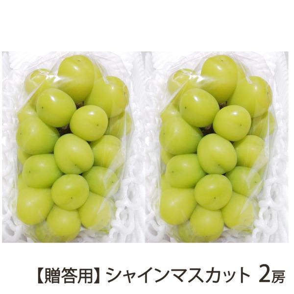 【発売日：2026年09月27日】水はけの良い土壌で育ったシャインマスカット。たっぷりと光合成をさせながら、十分に甘みがのるまで樹に実らせました。芳醇でフルーティーな香りと、深みのある甘さをお楽しみください！生きものや環境にやさしい「持続可...