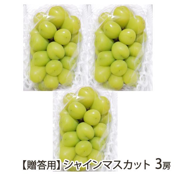 【発売日：2026年09月27日】水はけの良い土壌で育ったシャインマスカット。たっぷりと光合成をさせながら、十分に甘みがのるまで樹に実らせました。芳醇でフルーティーな香りと、深みのある甘さをお楽しみください！生きものや環境にやさしい「持続可...