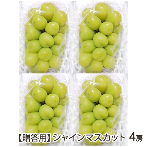 【発売日：2026年09月27日】水はけの良い土壌で育ったシャインマスカット。たっぷりと光合成をさせながら、十分に甘みがのるまで樹に実らせました。芳醇でフルーティーな香りと、深みのある甘さをお楽しみください！生きものや環境にやさしい「持続可...