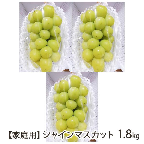 【発売日：2026年09月27日】水はけの良い土壌で育ったシャインマスカット。たっぷりと光合成をさせながら、十分に甘みがのるまで樹に実らせました。芳醇でフルーティーな香りと、深みのある甘さをお楽しみください！生きものや環境にやさしい「持続可...