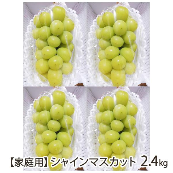 【発売日：2026年09月27日】水はけの良い土壌で育ったシャインマスカット。たっぷりと光合成をさせながら、十分に甘みがのるまで樹に実らせました。芳醇でフルーティーな香りと、深みのある甘さをお楽しみください！生きものや環境にやさしい「持続可...