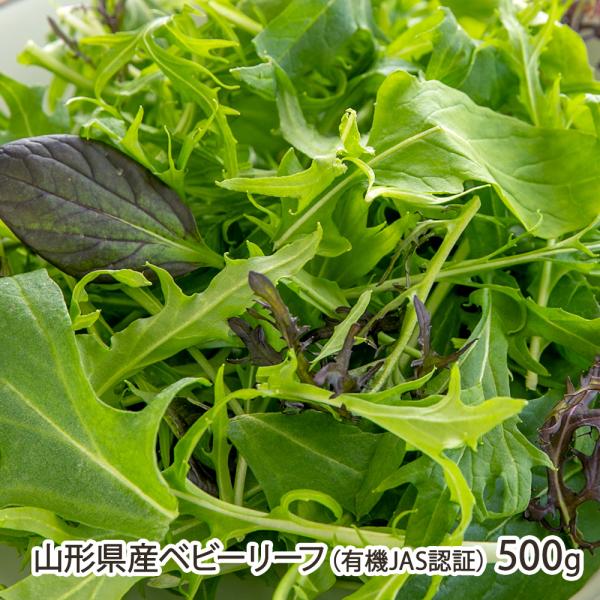鶴岡市で育った有機JAS認証の「ベビーリーフ」は、ルッコラやピノグリーンなど7種をブレンド。えぐみが少なく、しっかりとした味わいが特徴です。毎日の食卓に、彩りと栄養を添えてくれますよ。鶴岡市の「SHONAI ROOTS（ショウナイルーツ）」...
