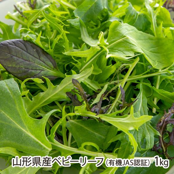 鶴岡市で育った有機JAS認証の「ベビーリーフ」は、ルッコラやピノグリーンなど7種をブレンド。えぐみが少なく、しっかりとした味わいが特徴です。毎日の食卓に、彩りと栄養を添えてくれますよ。鶴岡市の「SHONAI ROOTS（ショウナイルーツ）」...