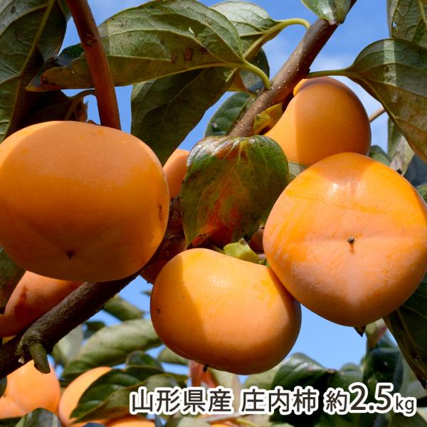 【発売日：2026年10月17日】「庄内柿」は、山形の特産品として知られるブランド柿。収穫後、丁寧に渋抜きすることで、まろやかな甘みの柿に仕上がります。日を置くほどにやわらかくなるため、お好みの追熟具合でお楽しみください！山形県の特産品とし...