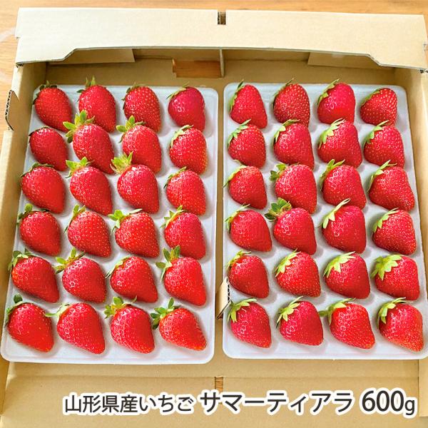 【発売日：2026年07月07日】快適なハウス環境で健康に育った「夏いちご」。「すずあかね」と「サマーティアラ」の2品種をラインナップしました。一番美味しい状態でお届けするために、真っ赤に色づくまで完熟させてから収穫します。苺屋佐藤は、寒河...