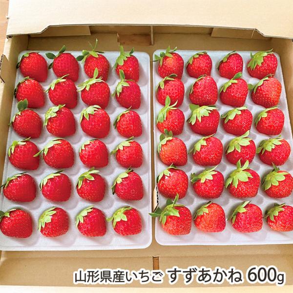 【発売日：2026年07月07日】快適なハウス環境で健康に育った「夏いちご」。「すずあかね」と「サマーティアラ」の2品種をラインナップしました。一番美味しい状態でお届けするために、真っ赤に色づくまで完熟させてから収穫します。苺屋佐藤は、寒河...