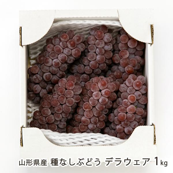 【発売日：2026年06月27日】まほろばの里として知られる自然豊かな高畠町で育ったデラウェア。初夏に旬を迎える、さわやかで甘酸っぱい味わいの「小粒ぶどう」です。一粒一粒に濃厚な果汁がぎゅっと詰まっています！高畠町の「治右衛門果樹園（じうえ...