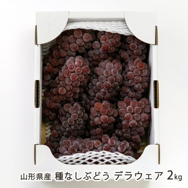 【発売日：2026年06月27日】まほろばの里として知られる自然豊かな高畠町で育ったデラウェア。初夏に旬を迎える、さわやかで甘酸っぱい味わいの「小粒ぶどう」です。一粒一粒に濃厚な果汁がぎゅっと詰まっています！高畠町の「治右衛門果樹園（じうえ...
