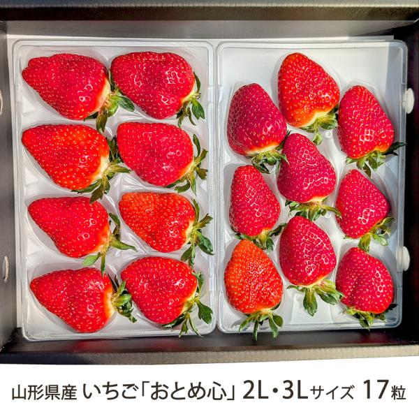 「おとめ心」は、山形県で誕生したいちご品種。箱を開けた瞬間に広がる芳醇な香りと、甘み・酸味の絶妙なバランスが魅力です。清らかな地下水をたっぷり吸ってみずみずしく育ちました。ギフトにもどうぞ！河北町でいちごをメインに栽培する禄翔（ろくと）農園...