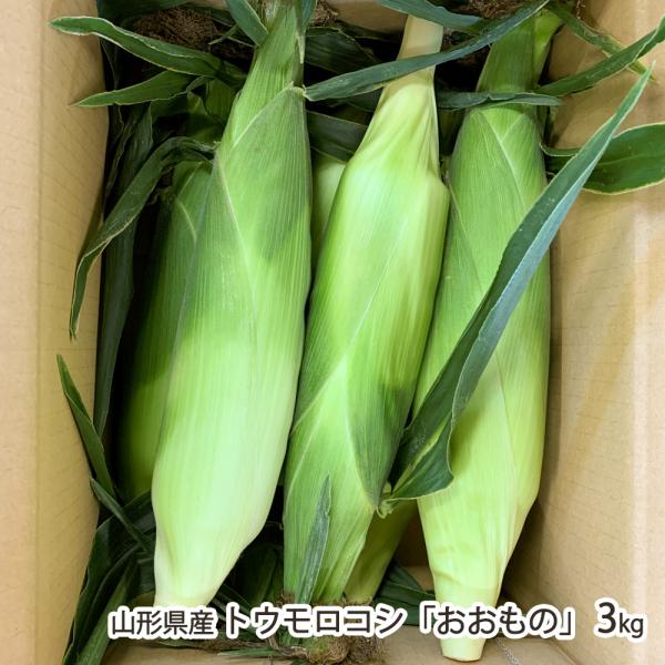 【発売日：2026年07月17日】寒河江市の肥沃な大地で育ったスイートコーン「おおもの」。存在感のある大きさと、果物にも負けない濃厚な甘みが特徴。朝採りをその日のうちに発送し、鮮度そのままにお届けします。「おおもの」はその名の通り、圧倒的な...