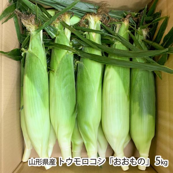 【発売日：2026年07月17日】寒河江市の肥沃な大地で育ったスイートコーン「おおもの」。存在感のある大きさと、果物にも負けない濃厚な甘みが特徴。朝採りをその日のうちに発送し、鮮度そのままにお届けします。「おおもの」はその名の通り、圧倒的な...