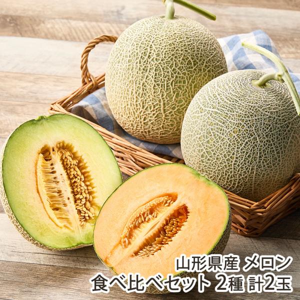 【発売日：2026年07月07日】「トトロの森」が見守る天空の畑で、情熱を込めて育てた五十嵐ファームのメロン。贅沢な赤肉と上品な青肉、ずっしりとした大玉に溢れる果汁と芳醇な香りをお楽しみください。贈り物にもおススメです！五十嵐ファームがお届...