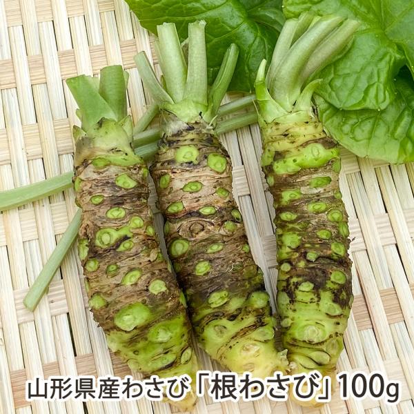 【発売日：2026年10月07日】おろして味わう鮮烈な辛みや、刻んで楽しむ豊かな風味と食感。最先端のシステムで徹底管理されたハウスで、丁寧に育てたわさびです。山辺町のTTK山辺農場は、わさびの栽培・販売をする農園。通信インフラを支えてきた企...