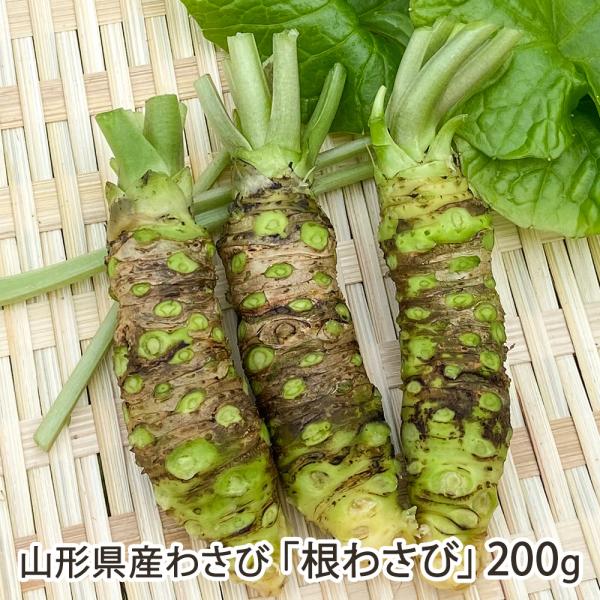 【発売日：2026年10月07日】おろして味わう鮮烈な辛みや、刻んで楽しむ豊かな風味と食感。最先端のシステムで徹底管理されたハウスで、丁寧に育てたわさびです。山辺町のTTK山辺農場は、わさびの栽培・販売をする農園。通信インフラを支えてきた企...