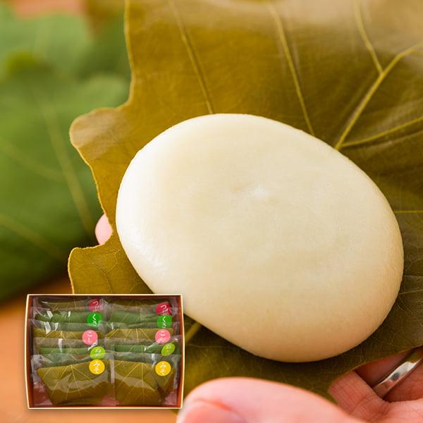 【5種類の味が楽しめる柏餅】山形の人気和菓子店が作る自家製餡のかしわもちです。つぶあん・こしあん・よもぎ・じんだん・みそあんの10個入セットです！