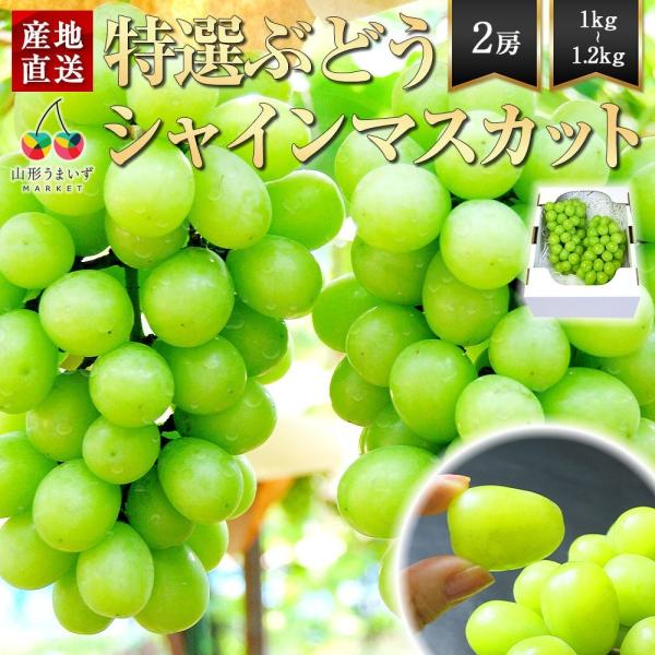 皮ごと食べられる希少品種の種なしぶどうシャインマスカット。厳選した最高級品質の大房を産地直送でお届けします！