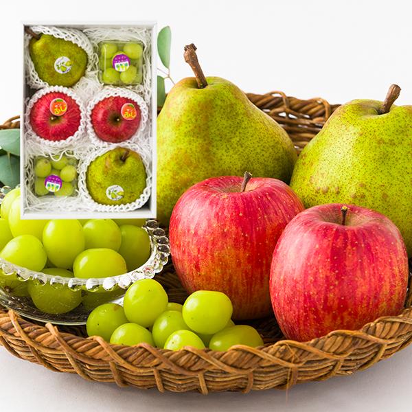 山形の旬のフルーツがたっぷり詰まったフルーツセットです。ぶどう、洋梨、りんごなどを詰め合わせてお届けします。