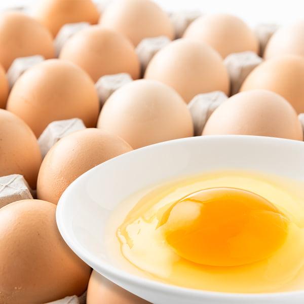 やさしい味わいの黄身としっかりとした白身。お菓子作りにぴったりの純国産卵。日本に6%程度しかいない純国産鶏「さくら」の生みたて新鮮卵です。